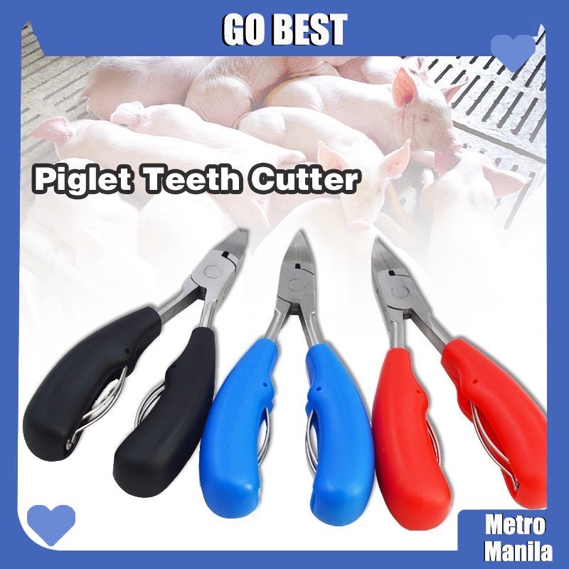 Stainless Steel Piglet Tooth Forceps Pig Tooth Nipper Piglet Tooth ...