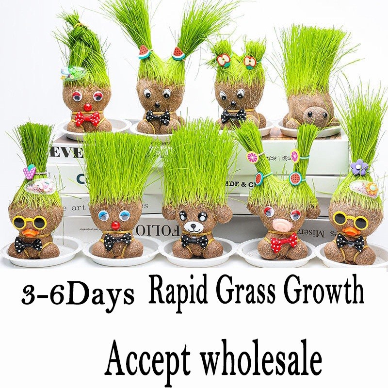 Grass Head Mini Plant potted Office Table Plant Decor Grass Doll Toys ...