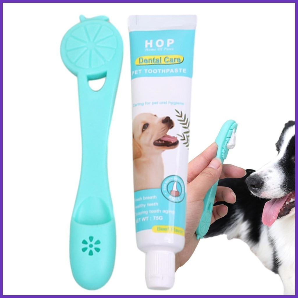 Dog Toothpaste and Brush Natural Beef Extract Effective Toothpaste for ...