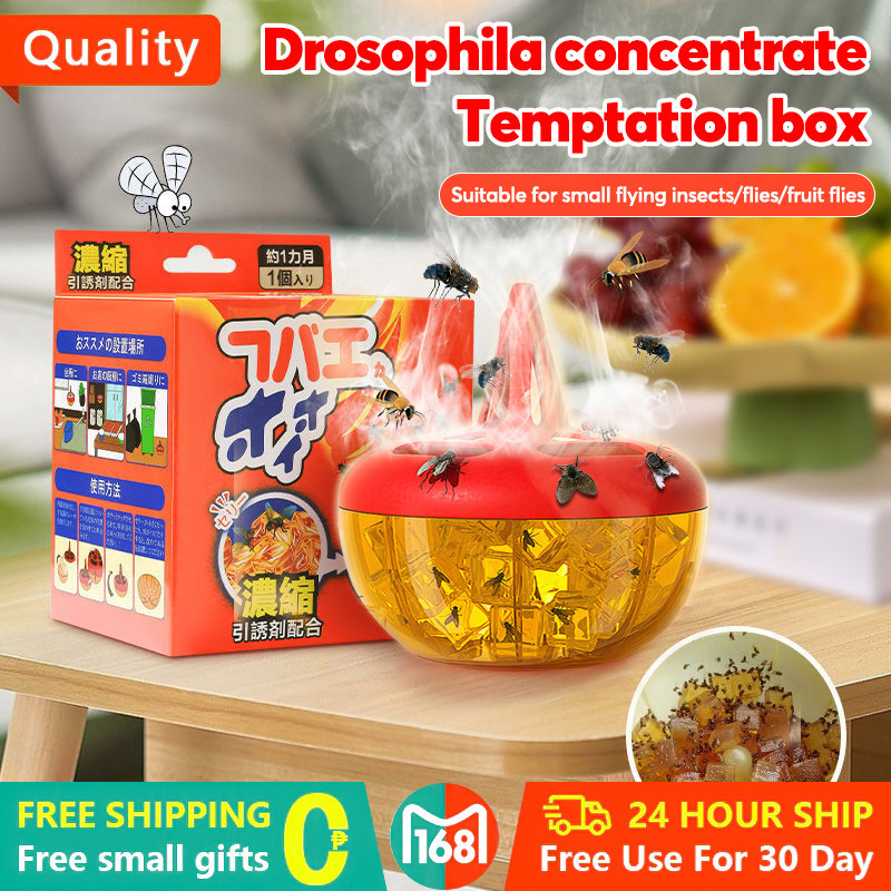 Japan Fruit Fly Bait Sticks and Fly Killers Kitchen Small Flying Bugs ...
