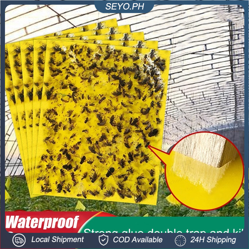 10Pcs Strong Flies Traps Bugs Sticky Board Double-Sided Sticky Insect ...