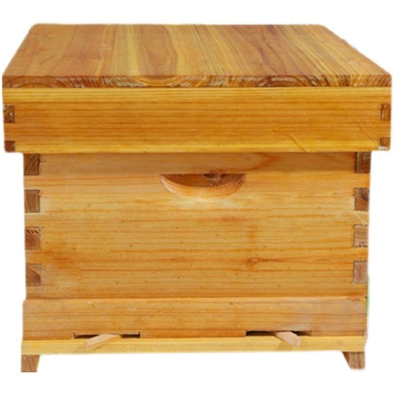 Hive Full Set Bee Box Framed Hive Frame Apis Cerana Bee Hive Hive ...