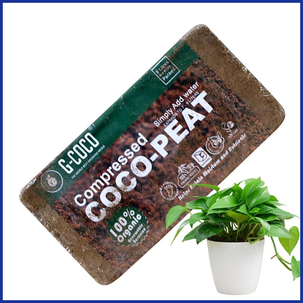 Coco Peat Organic Coco Coir Chips with Low EC and PH Balance Coconut ...