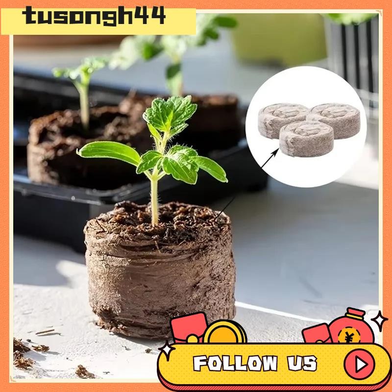 Planting Soil Blocks Plug Nutrition Compressed Peat Blocks Coconut Soil ...