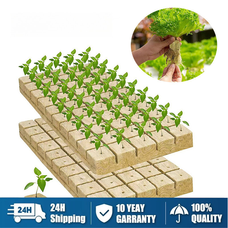 [Free Shipping] 50PCS RockWool Starter Plugs Hydroponic Grow Media High ...