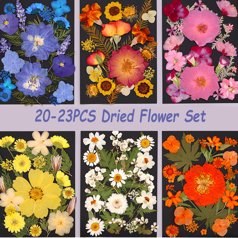 Pressed Flowers 20-23 Pcs,6 Colors Natural Dried Pressed Flowers ...