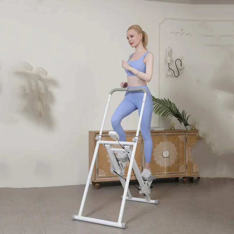 Home Staircase Machine Stepper Cardio Fitness Equipment Gym ...