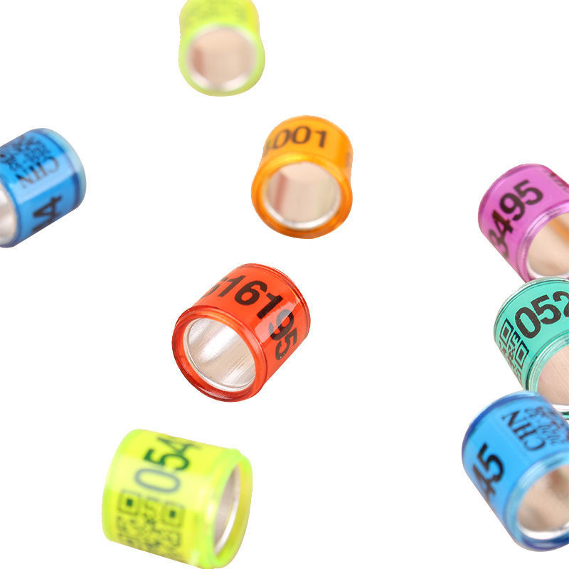 Believe Pigeon Foot Ring Pigeon Foot Ring 2025 Uniform Pigeon Ring Foot ...