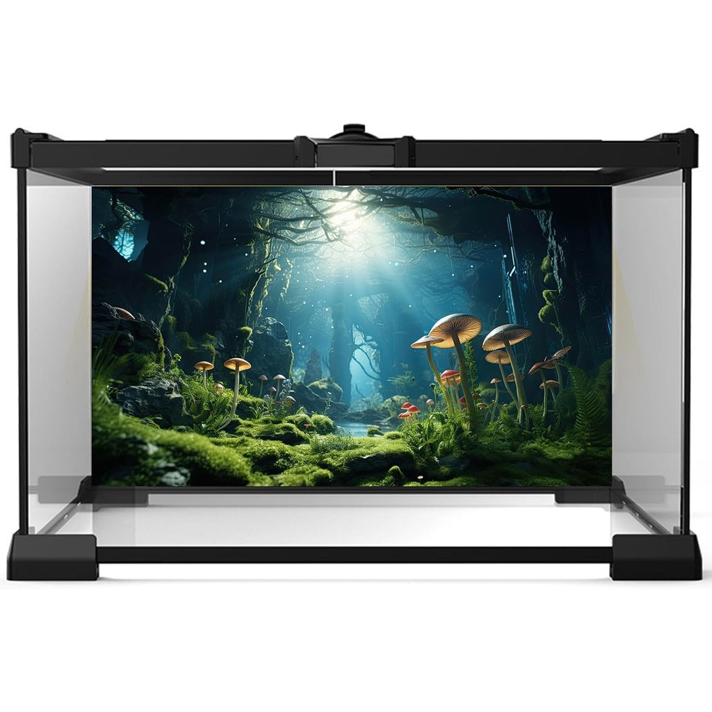 Aquarium Background Underwater World Terrarium Backdrop Jungle Style ...