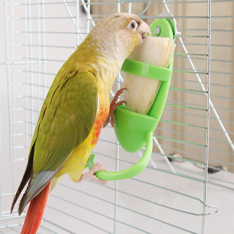 Meuctiffy 1Pc Bird Cage Feeding Holder Bird Cuttlebone Holder Vegetable ...