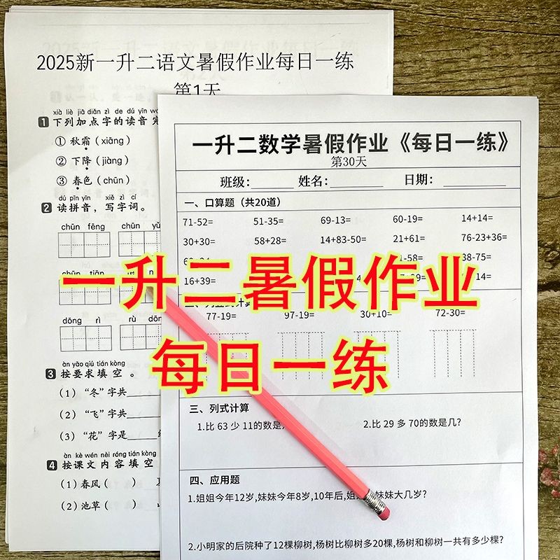 One Liter Two Chinese Mathematics Summer Vacation Homework Daily ...