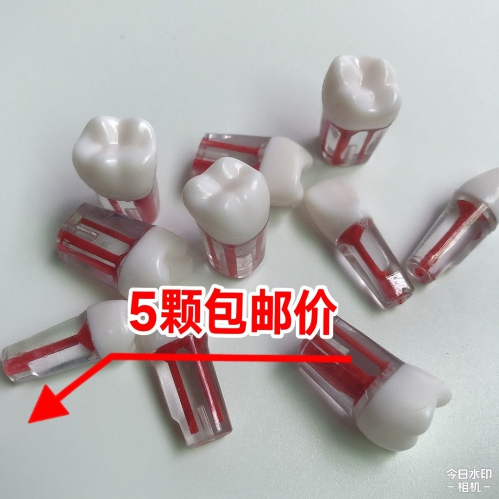 NR3C Special Root Canal Resin for Root Canal Filling, Dental Pulp ...