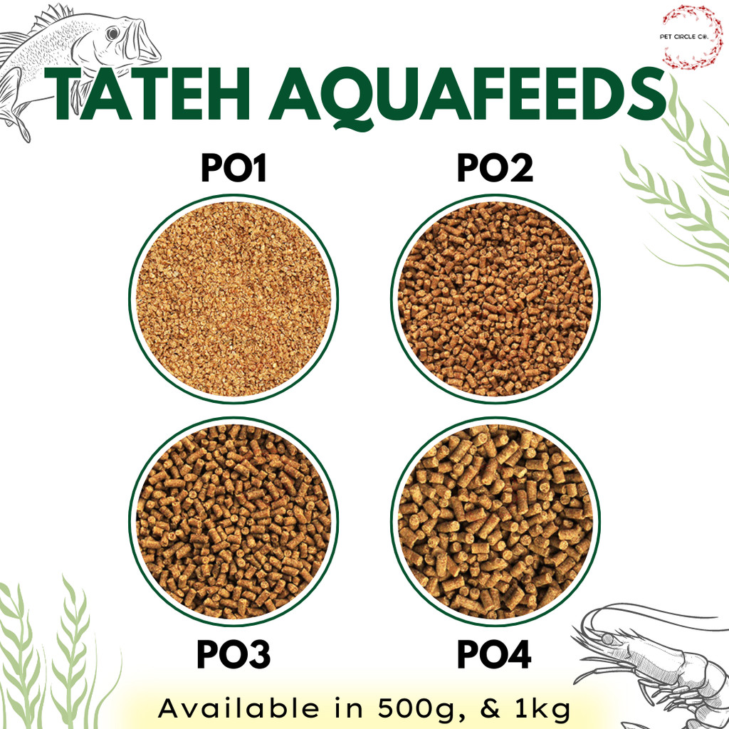 Tateh Fish Food PO1 | PO2 | PO3 | PO4 Sinker Sinking Pellets 500g 1kg | Shopee Philippines