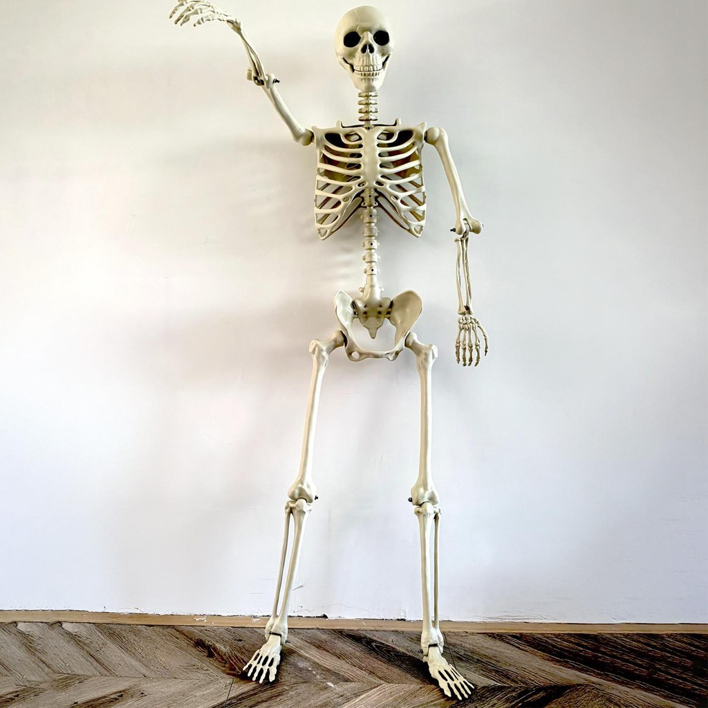 Halloween Skeleton Decor Life Size Human Skeleton with Posable Joints ...