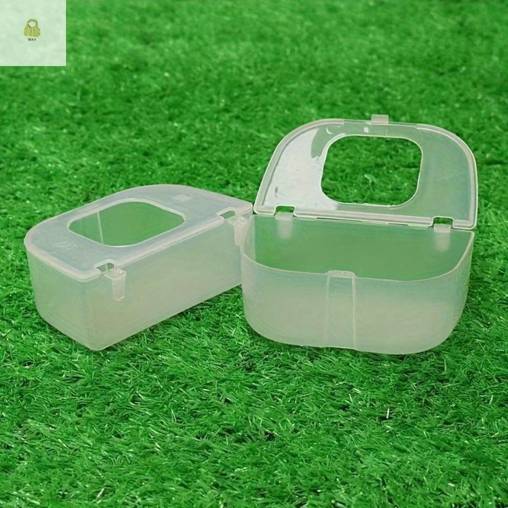 WAY Pigeon Anti Scattering Food Box, Transparent Plastic Carrier Pigeon ...