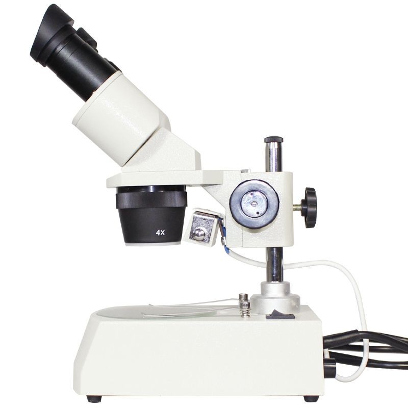 Belona/brown Binocular Body Microscope 20X-40X-80X Zoom LED Light ...