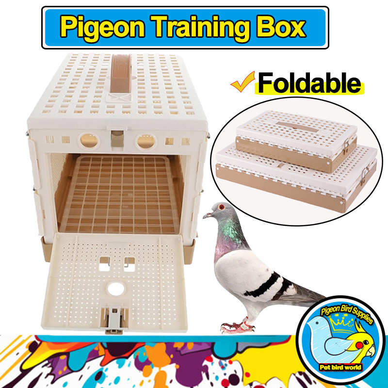 Foldable Pigeon Cage Training Box S/M Cage Plastic LARGE Pigeon ...