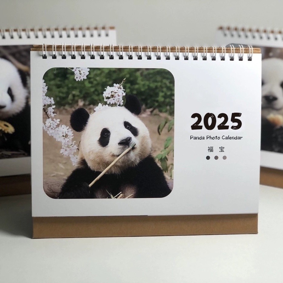 2025 Calendar Giant Panda Calendar Flower Cute Blue FINSBURY Feiyun ...