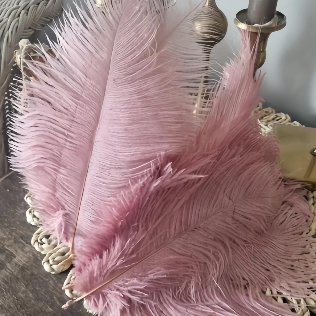 SALANGHANDA 10Pcs 25-30cm Ostrich Feathers for Crafts Decoration ...