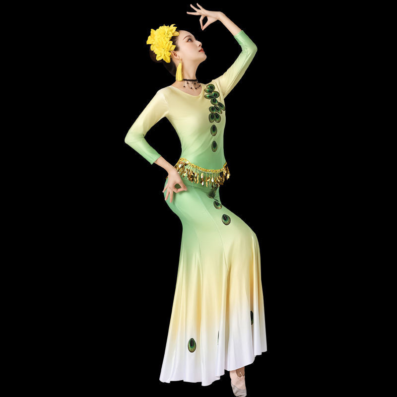 National dance Costume fishtail skirt long skirt performance Costume ...