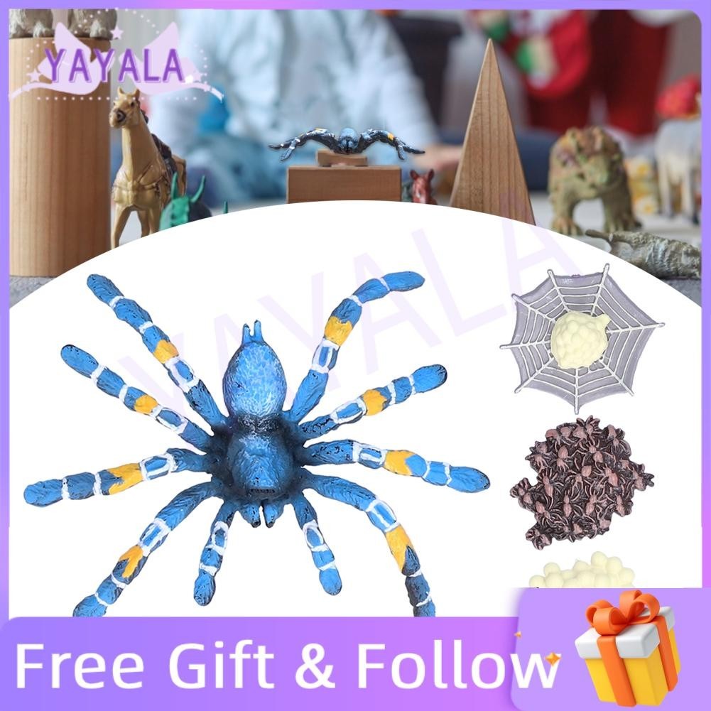 Yayala Plastic Spiders Life Cycle Model Figures Toy Growth Kids ...