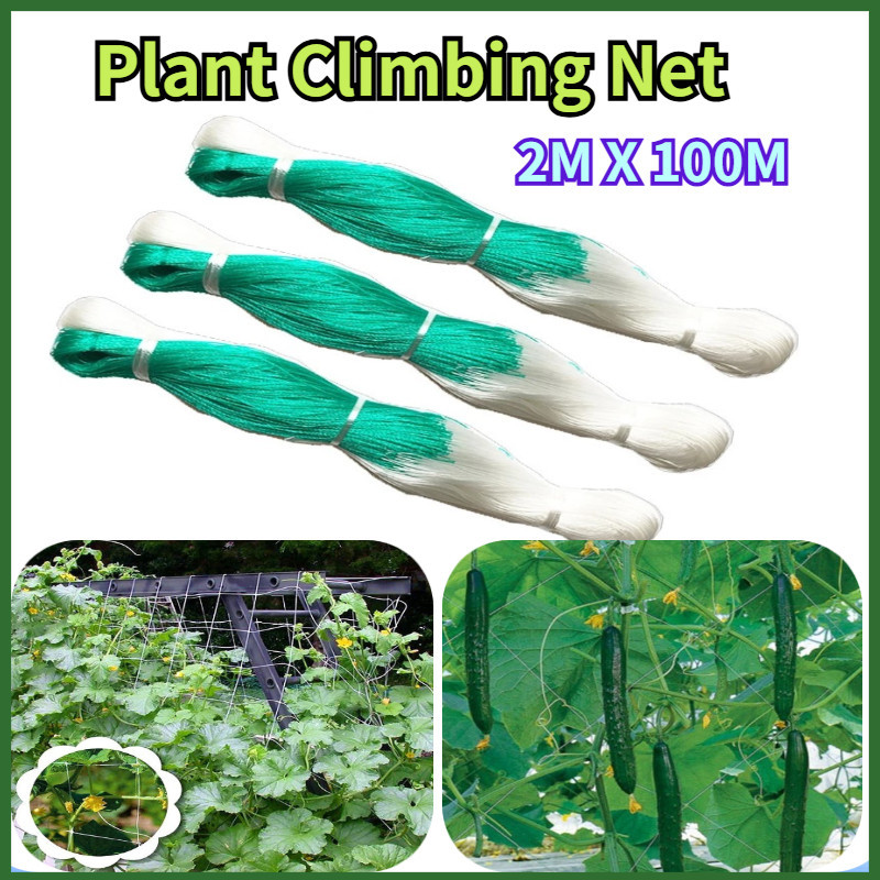2M X 100M Plant Climbing Net Garden Net Support for Climbing Vine ...