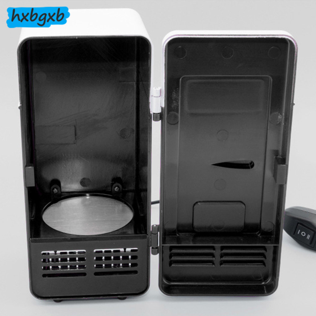 Car Portable Mini Fridge Vehicle Beverage Water Heating Dual Modes ...