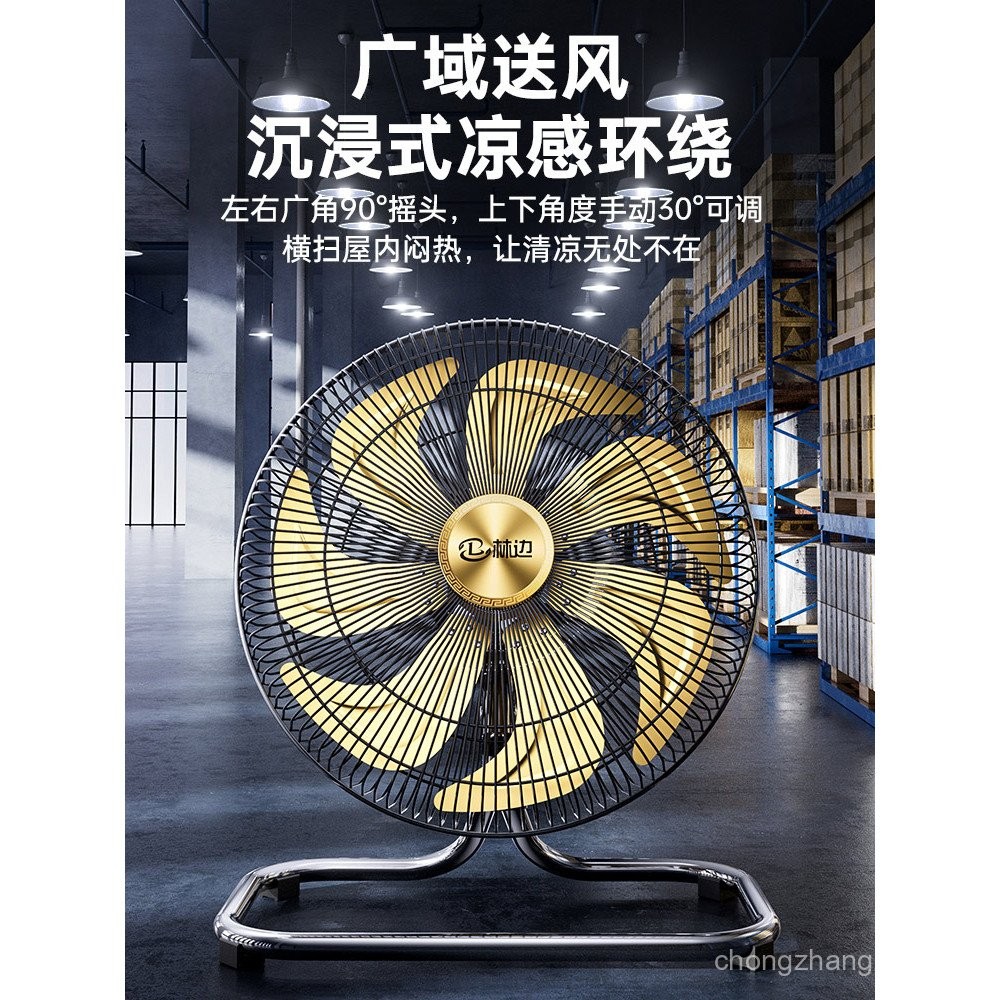 Lin Bian Shaking Head Floor Fan Household High-Power Industrial Fan ...