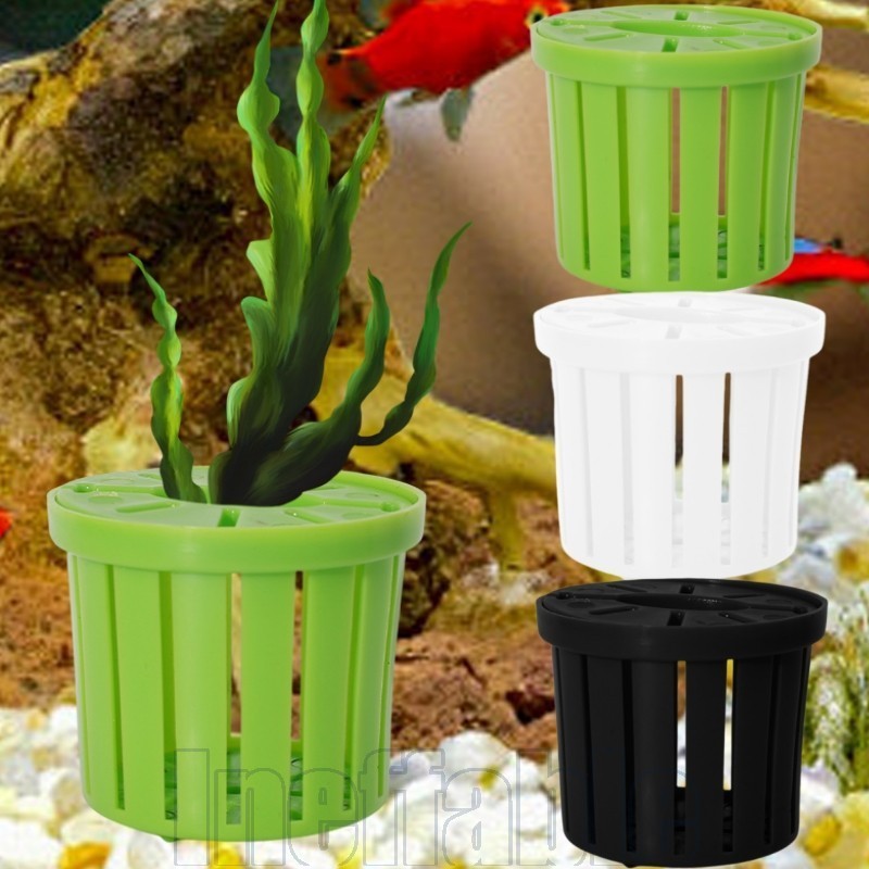 16Pcs Fish Tank Water Grass Fixing Cup - Aquascape Decor Accessories ...