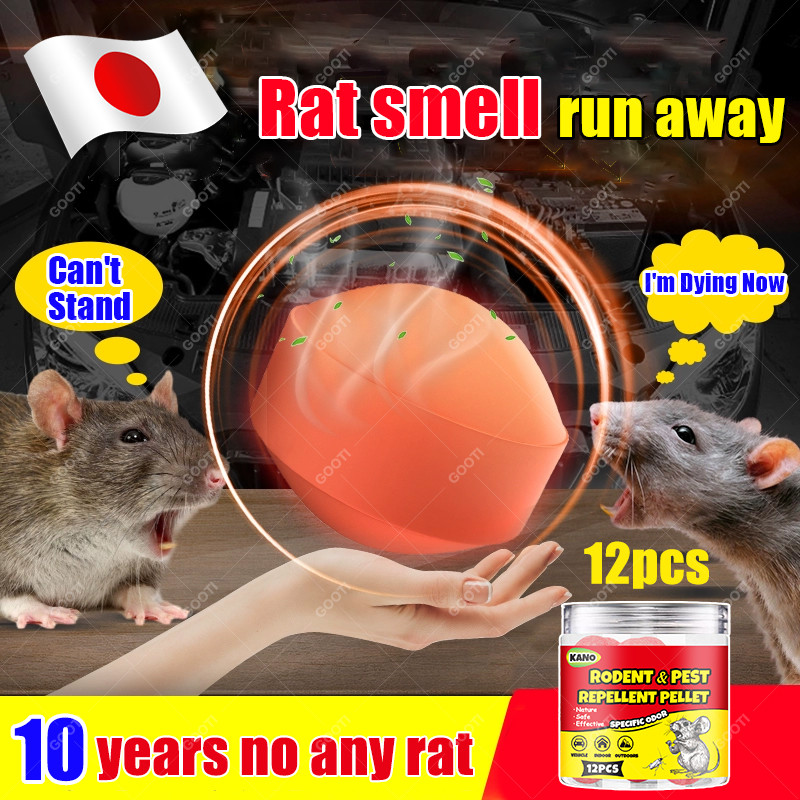 No Rats Within 10 km Rat Poison Killer Rat Repellant For Home Mothballs ...