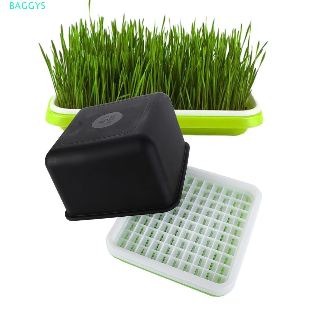 BAGGYS Seedling Tray Breathable 4 Piece Peanut Garlic Bean Sprout ...