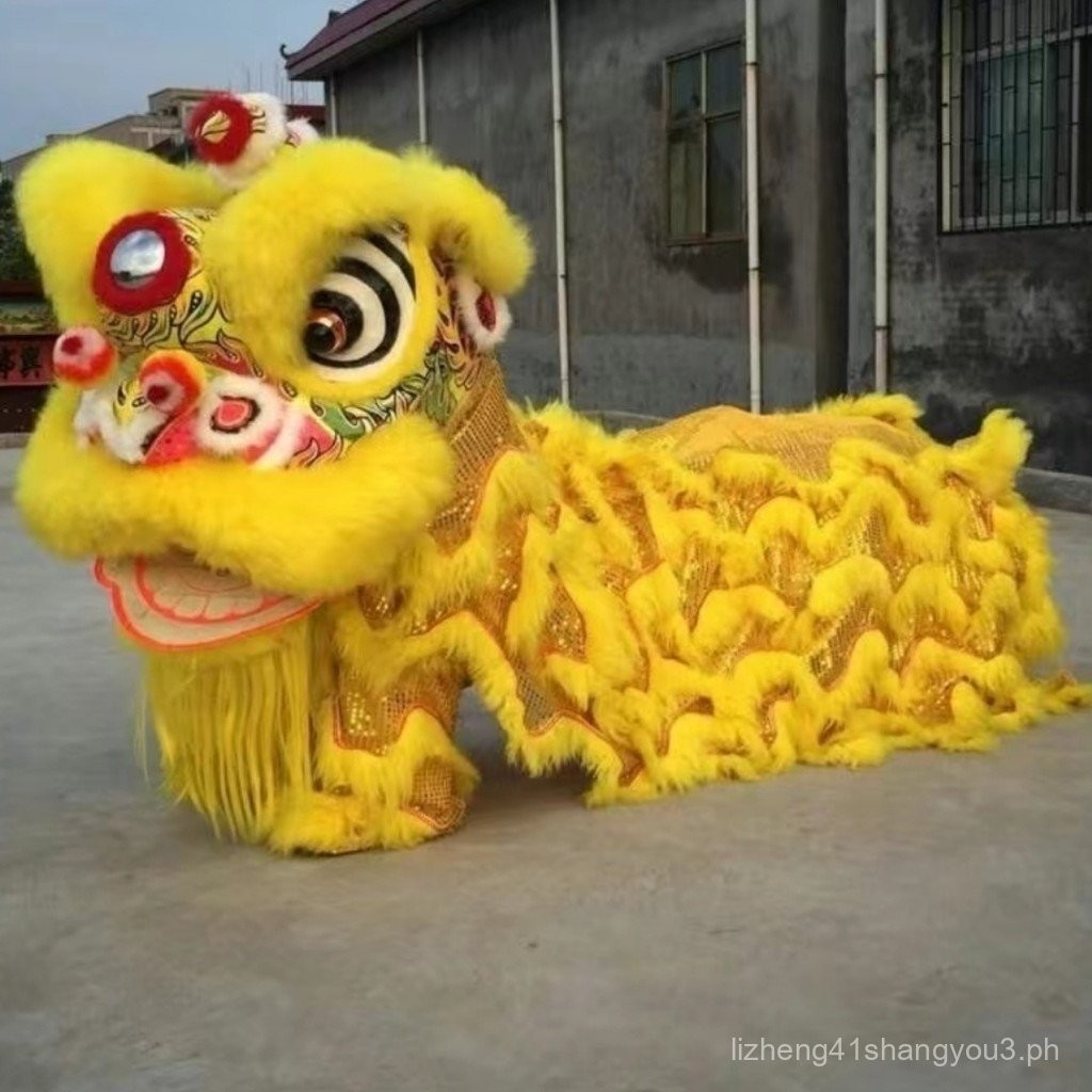 South Lion Lion Dance Props Lion Dance Dragon and Lion Dance Set ...