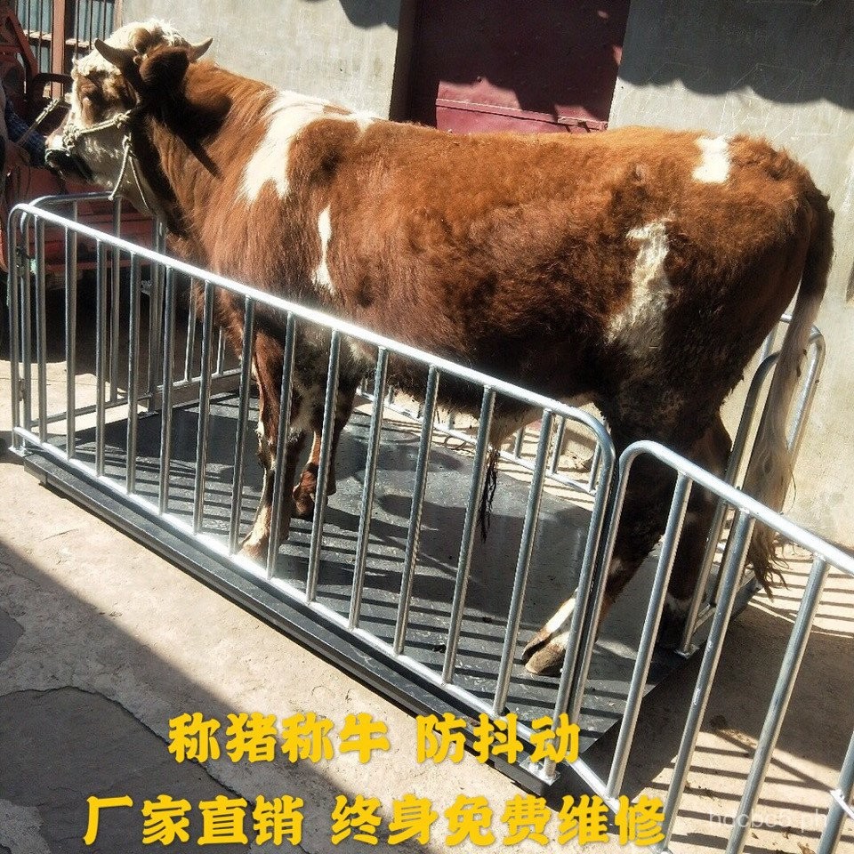 Electronic Weighing Scale1-3Ton Anti-Shake Fence Scale for Weighing ...