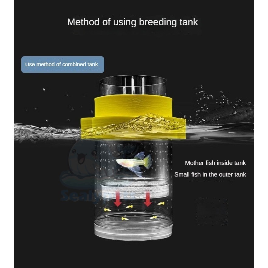 lastic Mesh Shrimp Guppy Floating Fish Breeding Isolation Box | Shopee ...