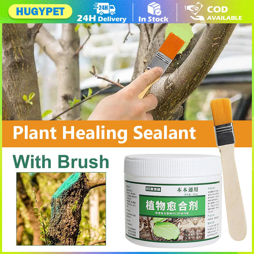 Tree Grafting Paste Tree Wound Bonsai Cut Paste Smear Agent Plant ...