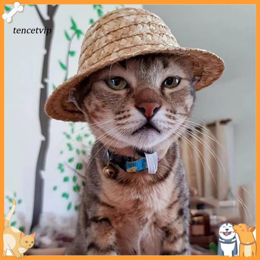 Vip Pet Costume Hat Retro Style Adjustable Cat Sun Hat Cute Pet ...