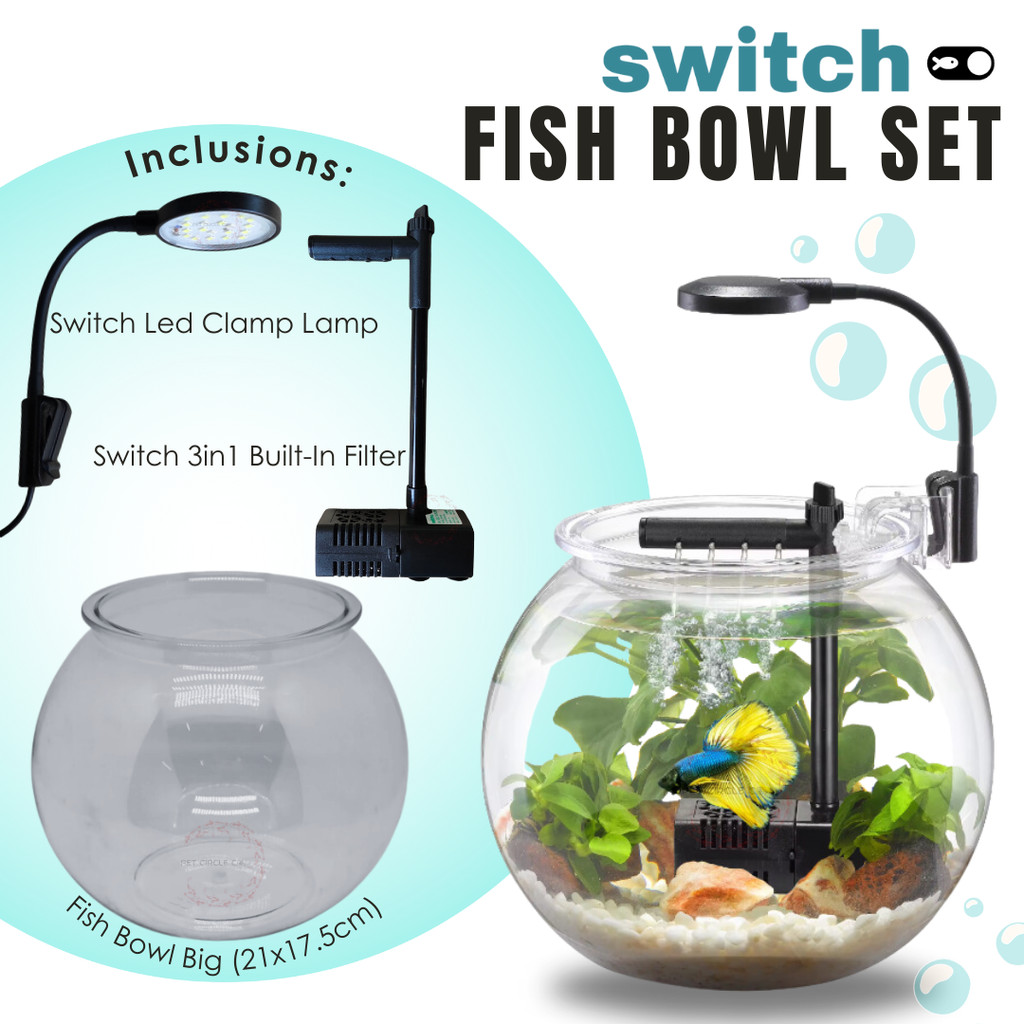 Fish Bowl Set with Led Light Clamp and Internal Filter Switch | Shopee ...