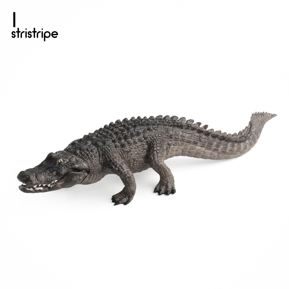 STR- Simulation Crocodiles Wild Animal PVC Figurine Model Craft Educational Kids Toy | Shopee ...
