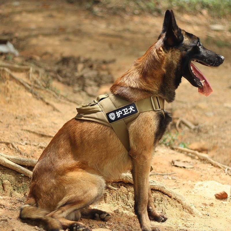 Dog chest strap Vest Style Traction Rope medium big Dog golden ...