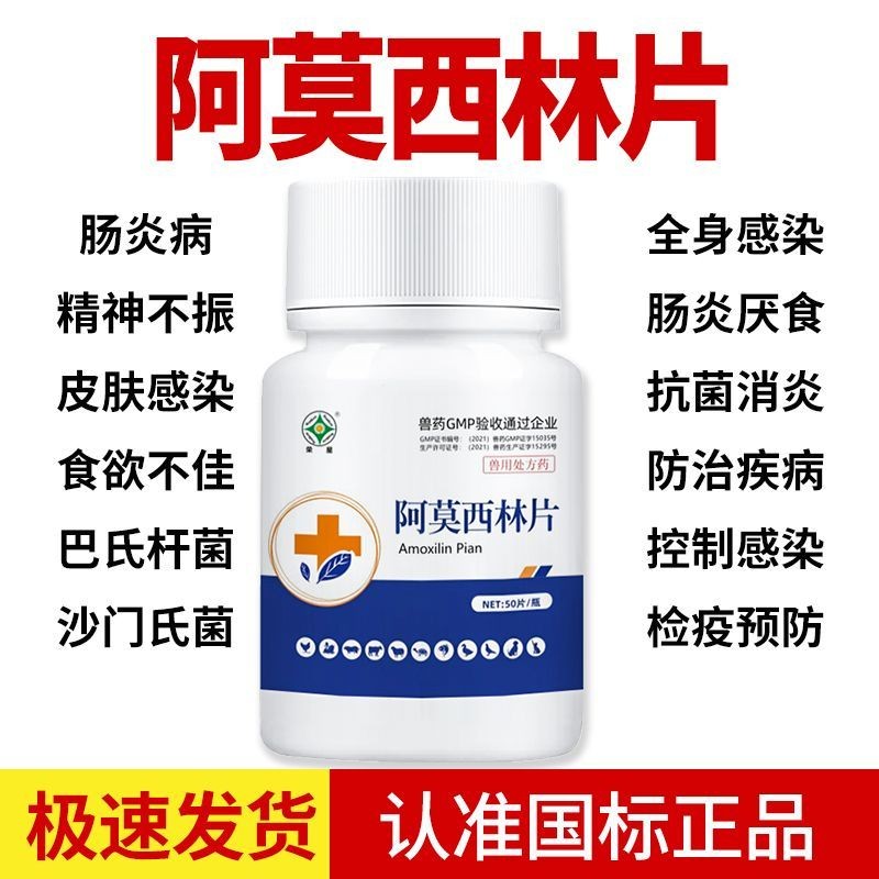 Veterinal Infection Medicine Amosilin Tablets Antibacterial Anti ...