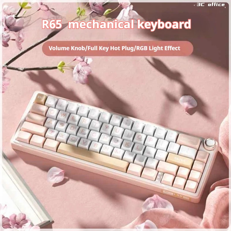 RK R65 3mode Wireless Customized Mechanical Keyboard 65% Layout with ...