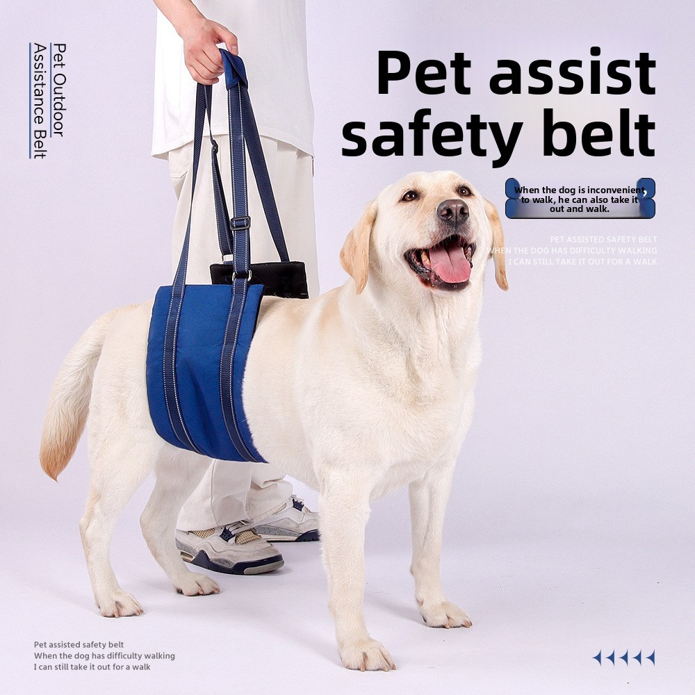 Pet Assist Harness for Elderly and Disabled Dogs, Adjustable Reflective ...