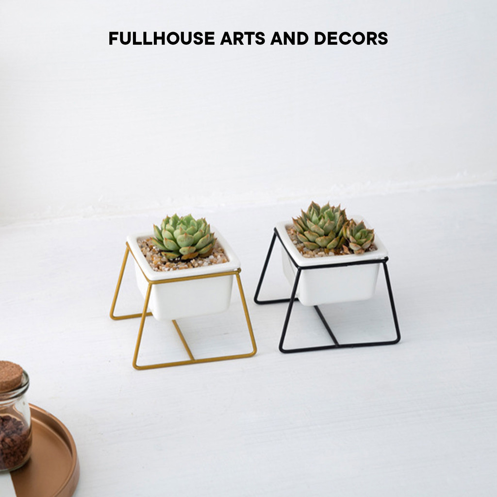 Fullhouse Arts and Decors TRAPEZOID Ceramic Mini Succulent Flower and ...