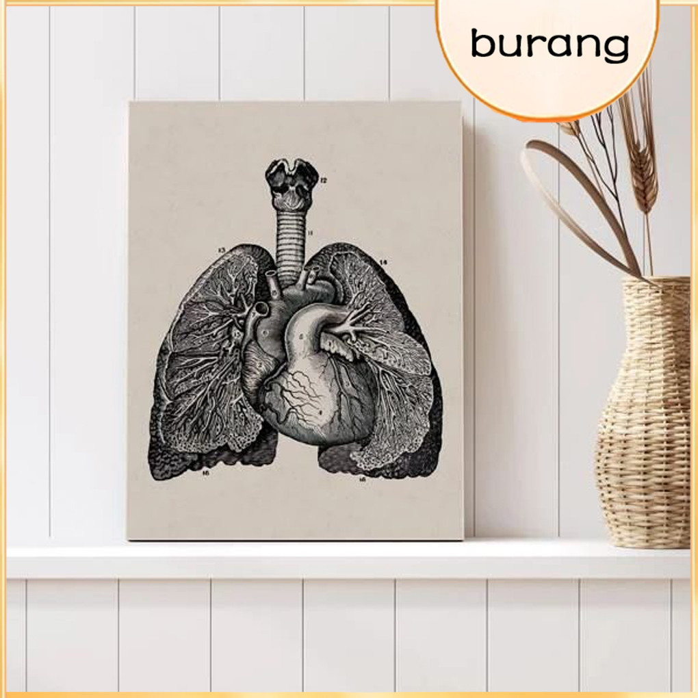 Lung Structure Art Painting Waterproof Decorative Poster Indoor ...