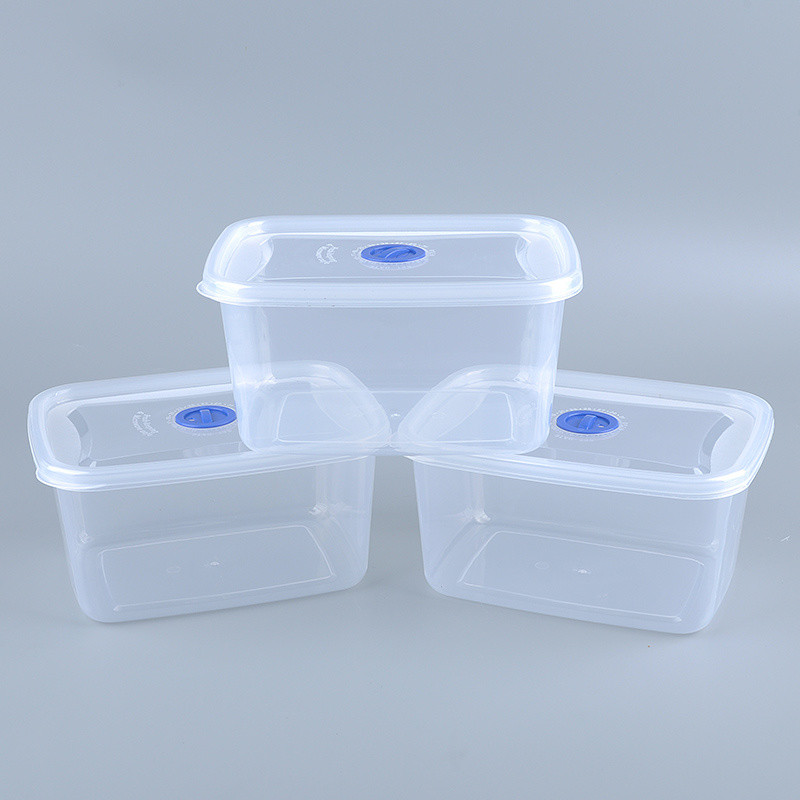 Rectangular Plastic Food Storage Container Fruit and Vegetable Dry ...