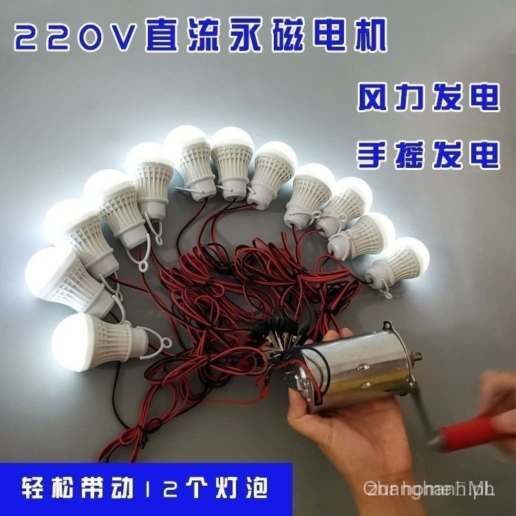 220v Permanent Magnetic DC Motor Hand Crank Generator Wind Friction ...