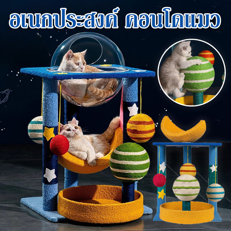 Cat Condo House In The Version Of The Stars Around The Space And The ...