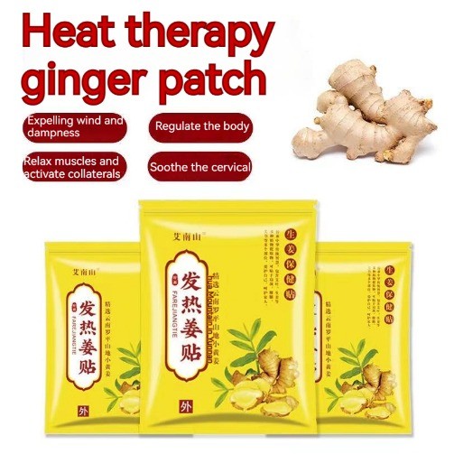 Herbal 100Pcs Ginger Patch Health Care for Promote Blood Circulation ...