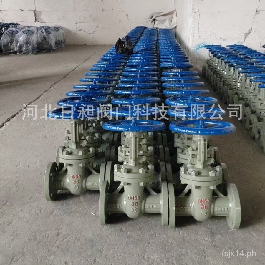 Z41H-16C Cast Steel Flange Gate Valve Carbon Steel Manual Chemical Department Valve Large ...