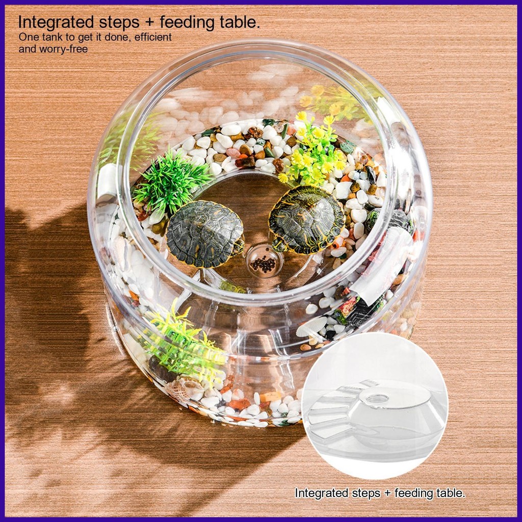 Water Turtle Tank Transparent Turtle Aquarium Turtle Tank with Lid ...